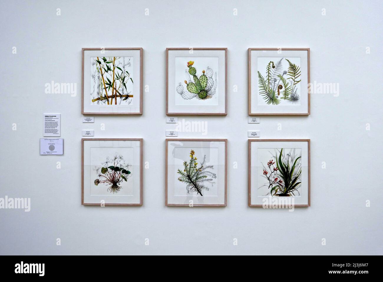 Entries for the show have been through a meticulous pre-selection ...