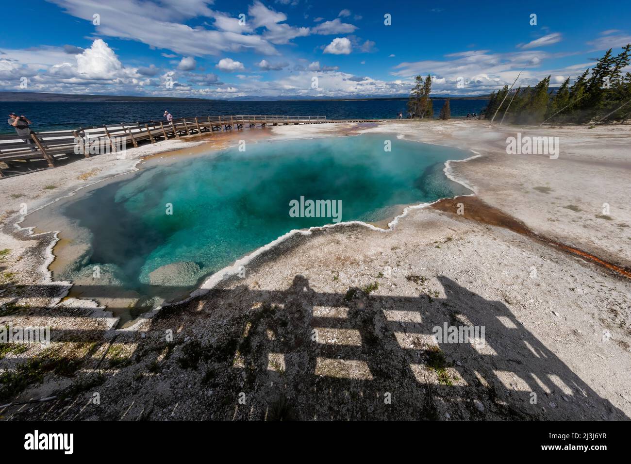Black Pool Yellowstone Black Opal Pool In Yellowstone National Park,
