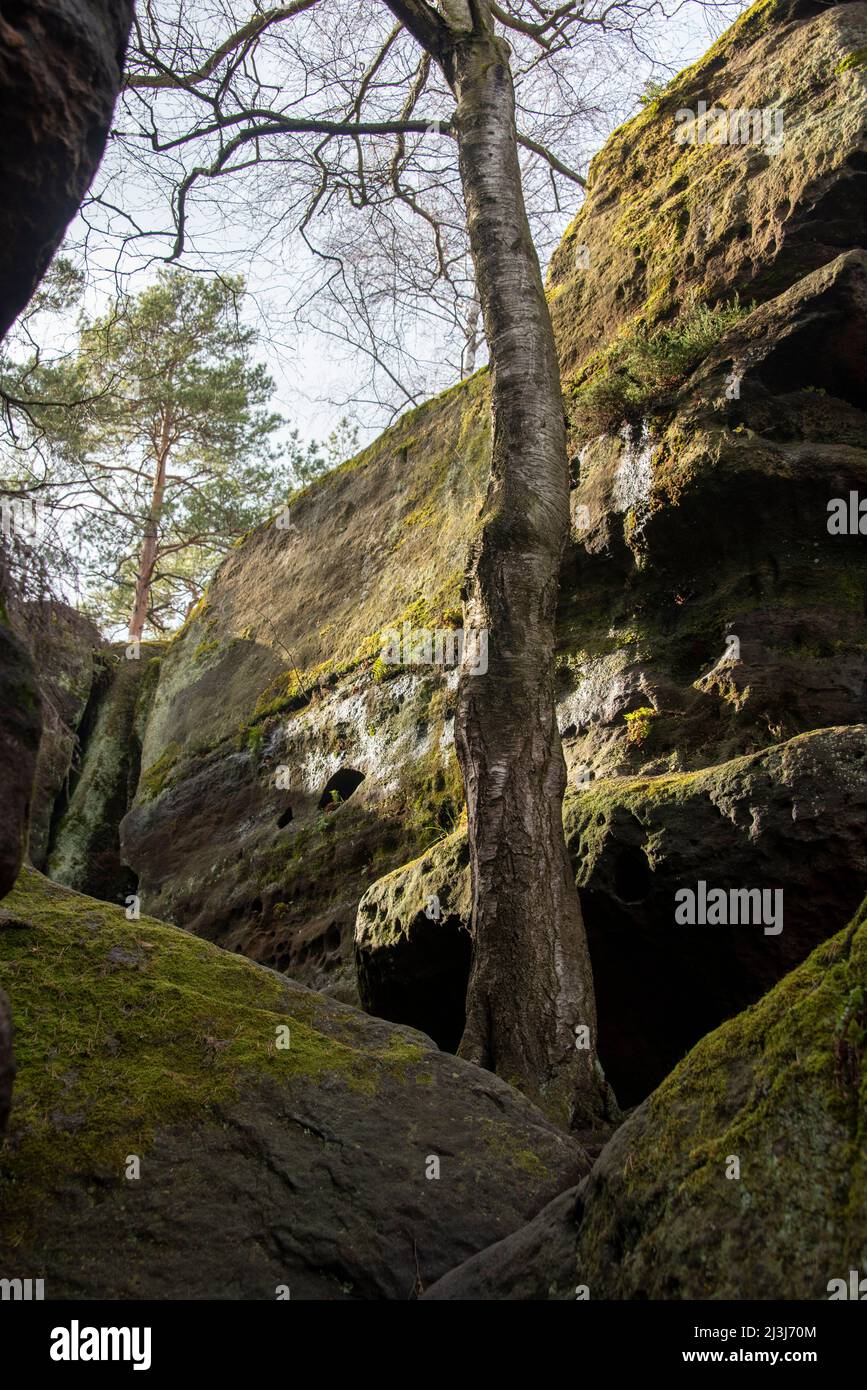 Rock labyrinth langenhennersdorf hi-res stock photography and images ...