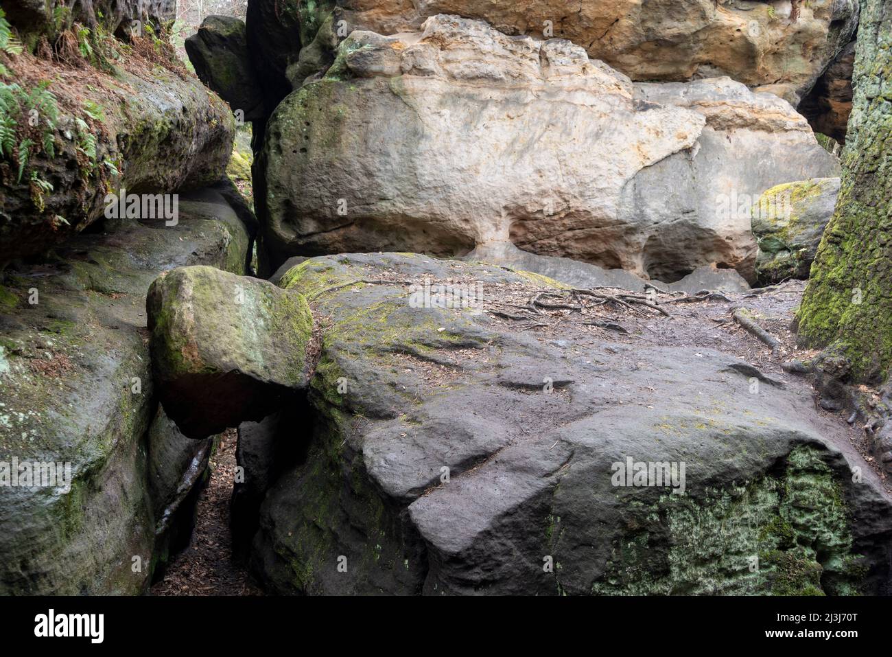 Rock labyrinth langenhennersdorf hi-res stock photography and images ...