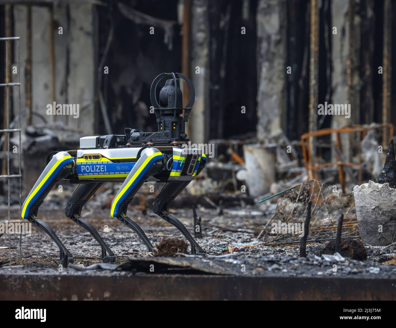 Robot dog, fire ruin, large fire residential complex in Essen, North ...