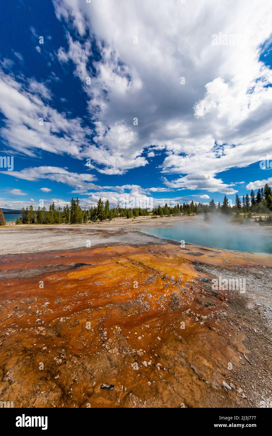 Black Pool with shore of orange thermophiles in the West Thumb Geyser ...