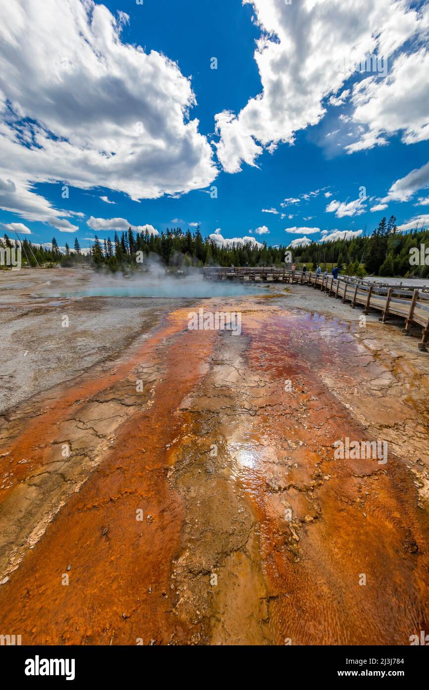 Black Pool with shore of orange thermophiles in the West Thumb Geyser ...