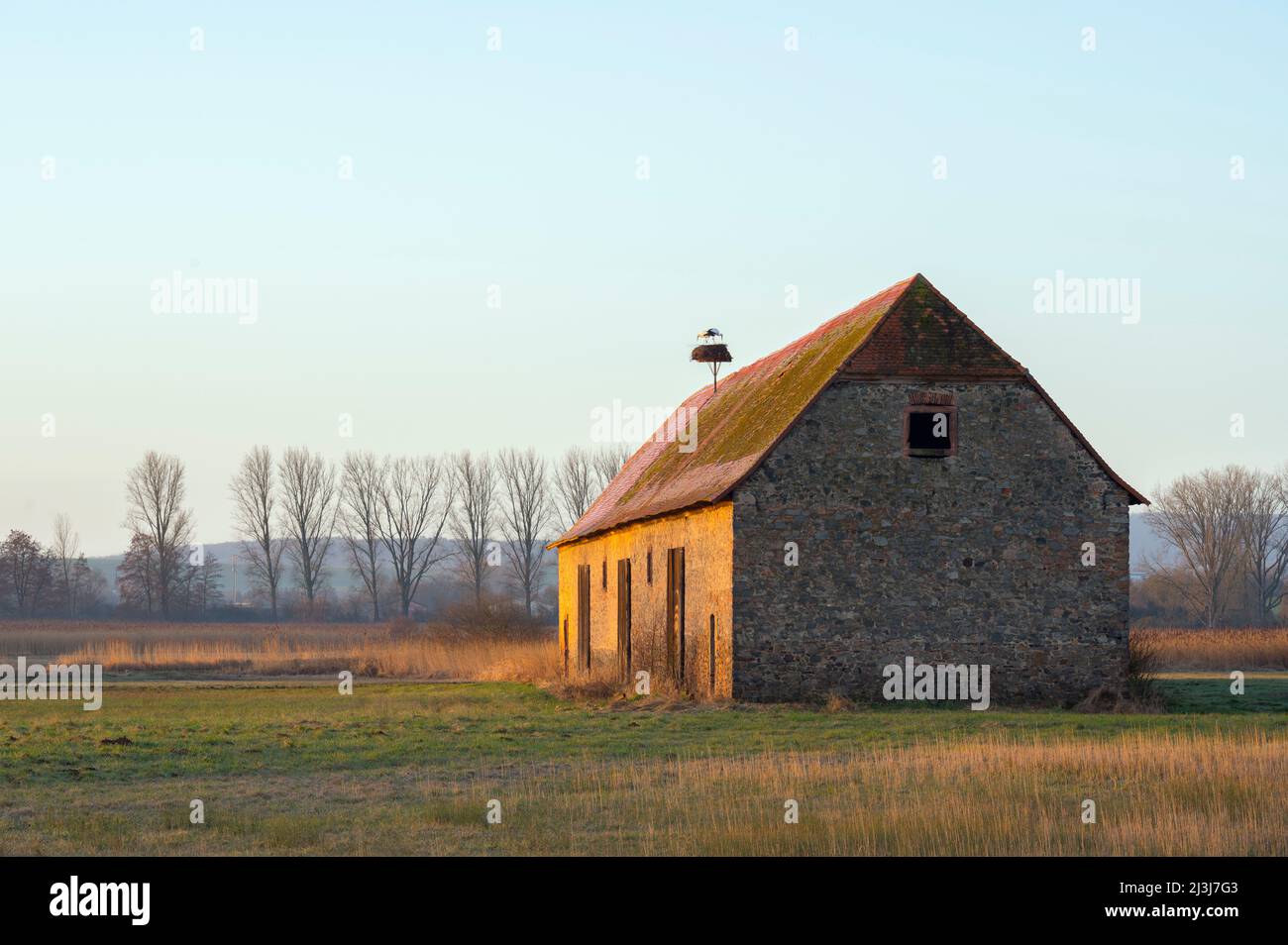 Old field barn with stork nest in spring hi-res stock photography and ...