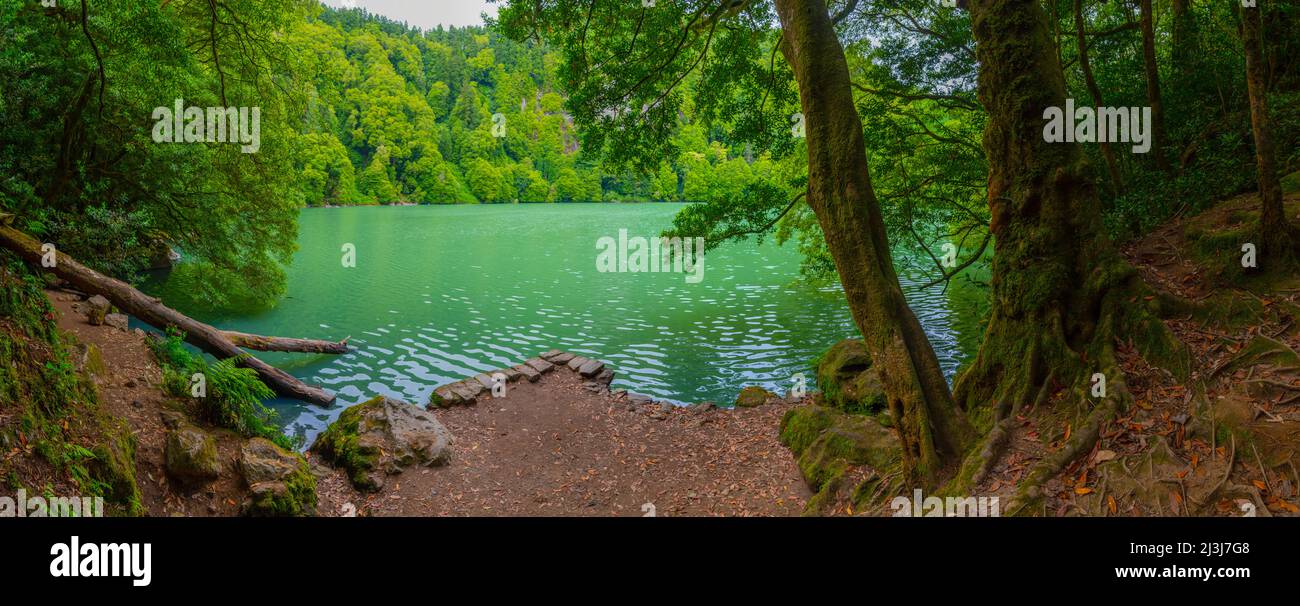 Lagoon congro hi-res stock photography and images - Alamy