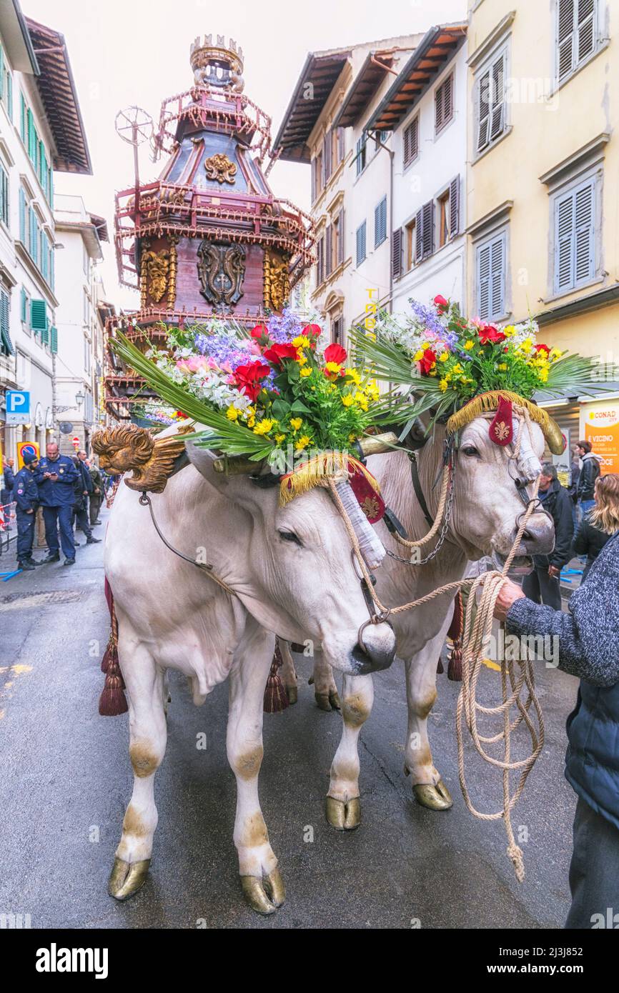Explosion of the Cart festival parade, Florence, Tuscany, Italy Stock ...