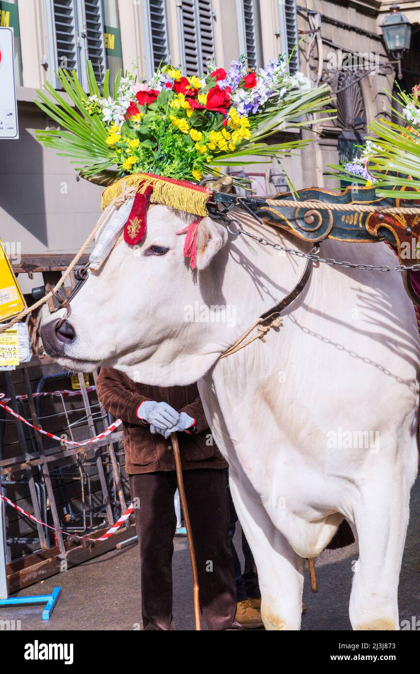 Explosion of the cart festival parade hi-res stock photography and ...
