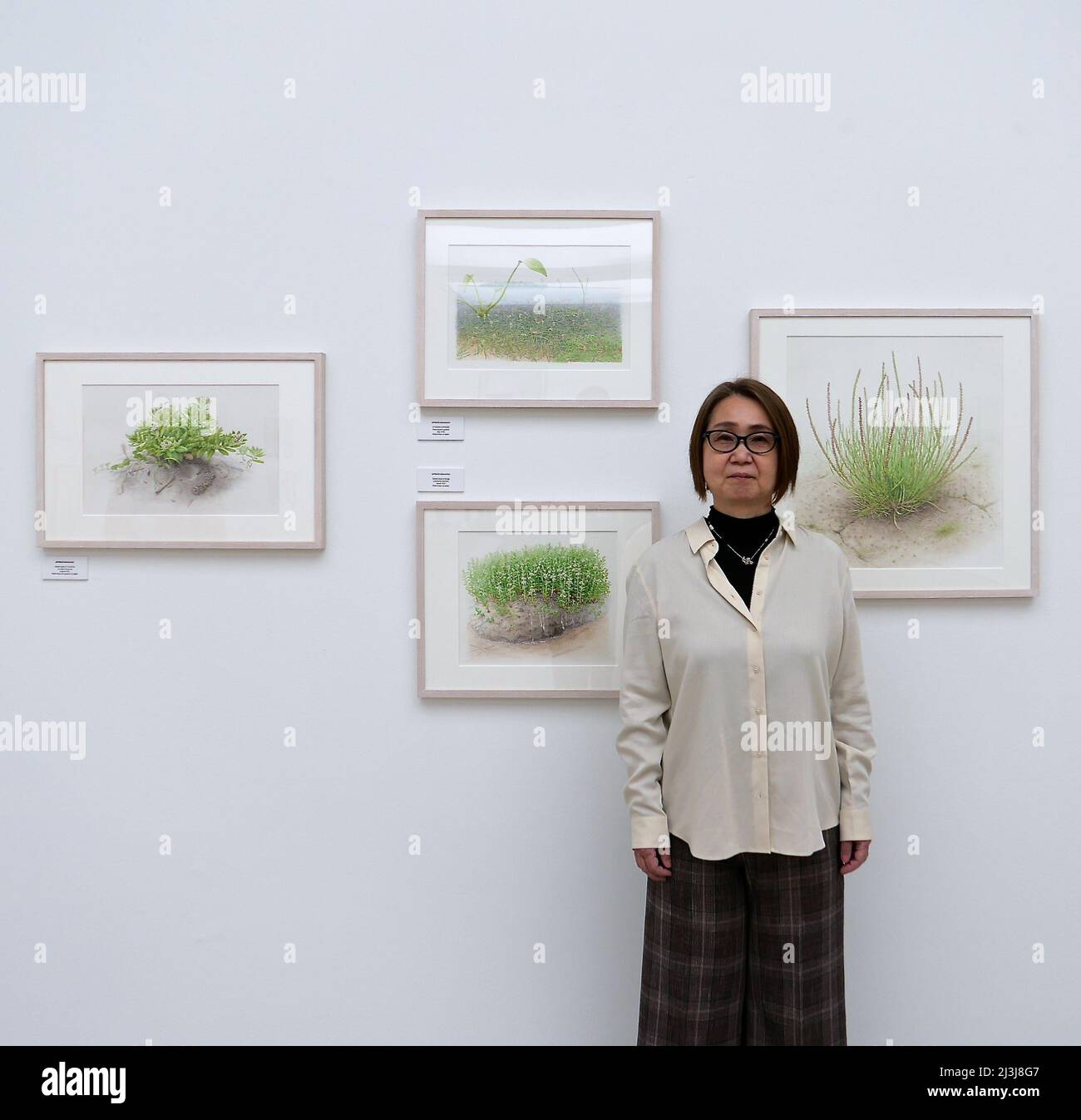 Mitsuko kurashina hi-res stock photography and images - Alamy