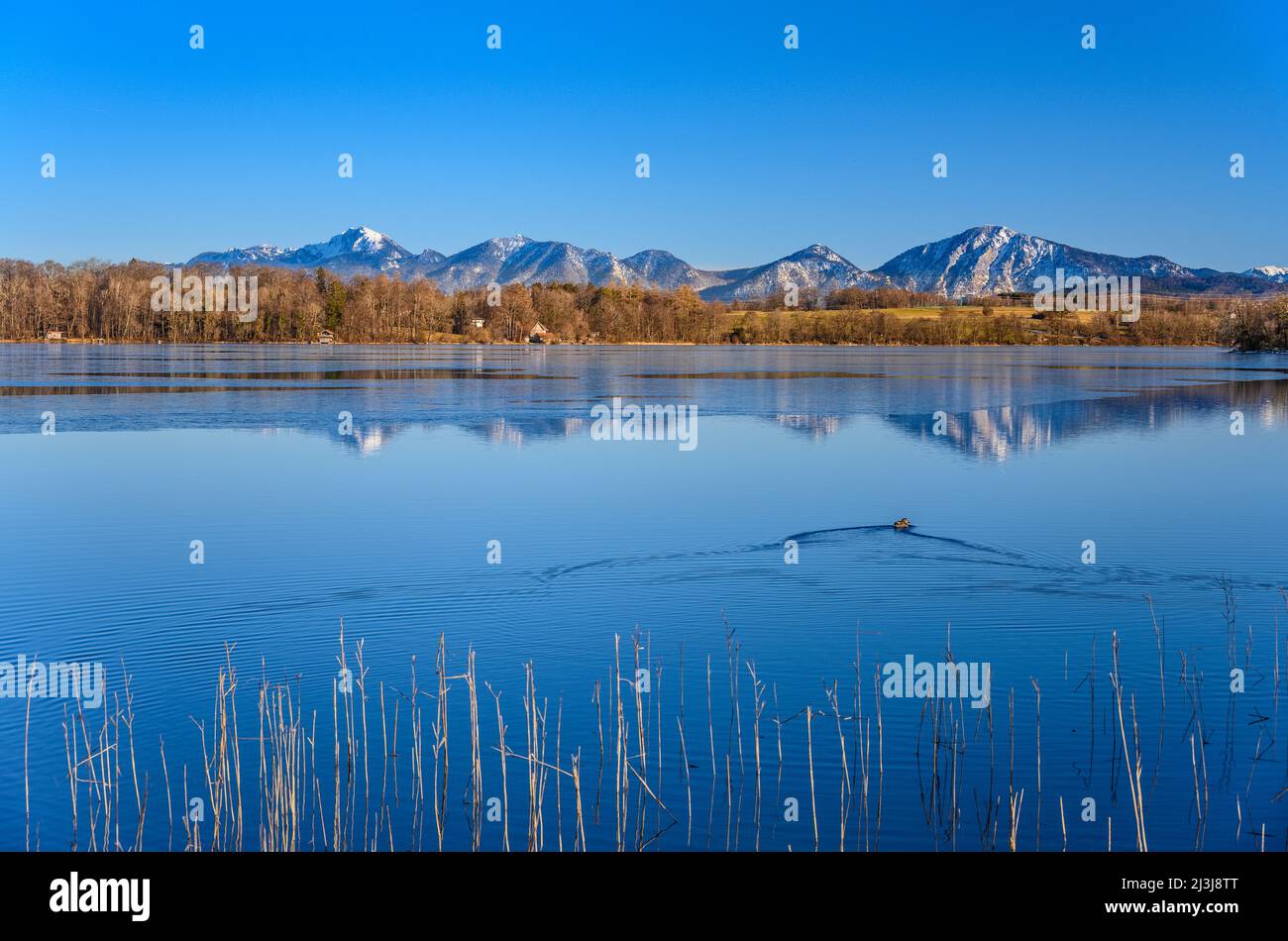 Germany, Bavaria, Upper Bavaria, Pfaffenwinkel, Uffing am Staffelsee ...