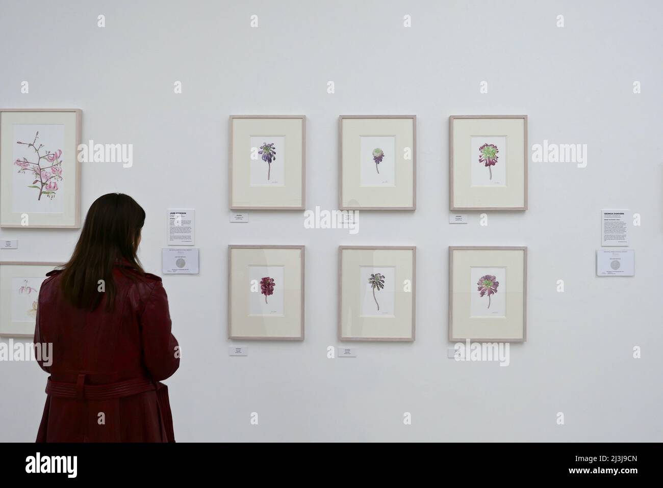 Mitsuko kurashina hi-res stock photography and images - Alamy