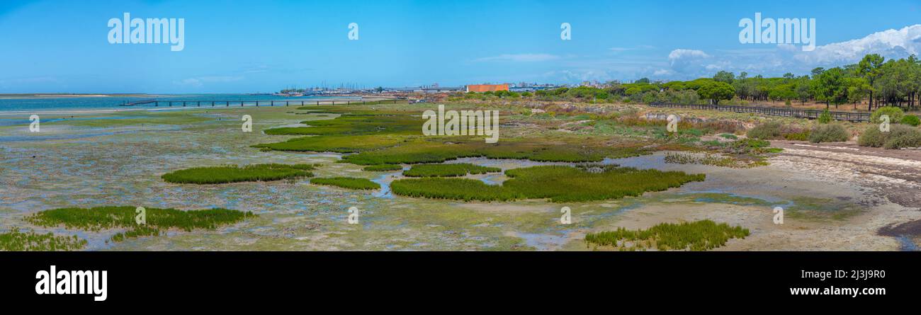 Wetlands of Ria Formosa national park at Portugal Stock Photo - Alamy