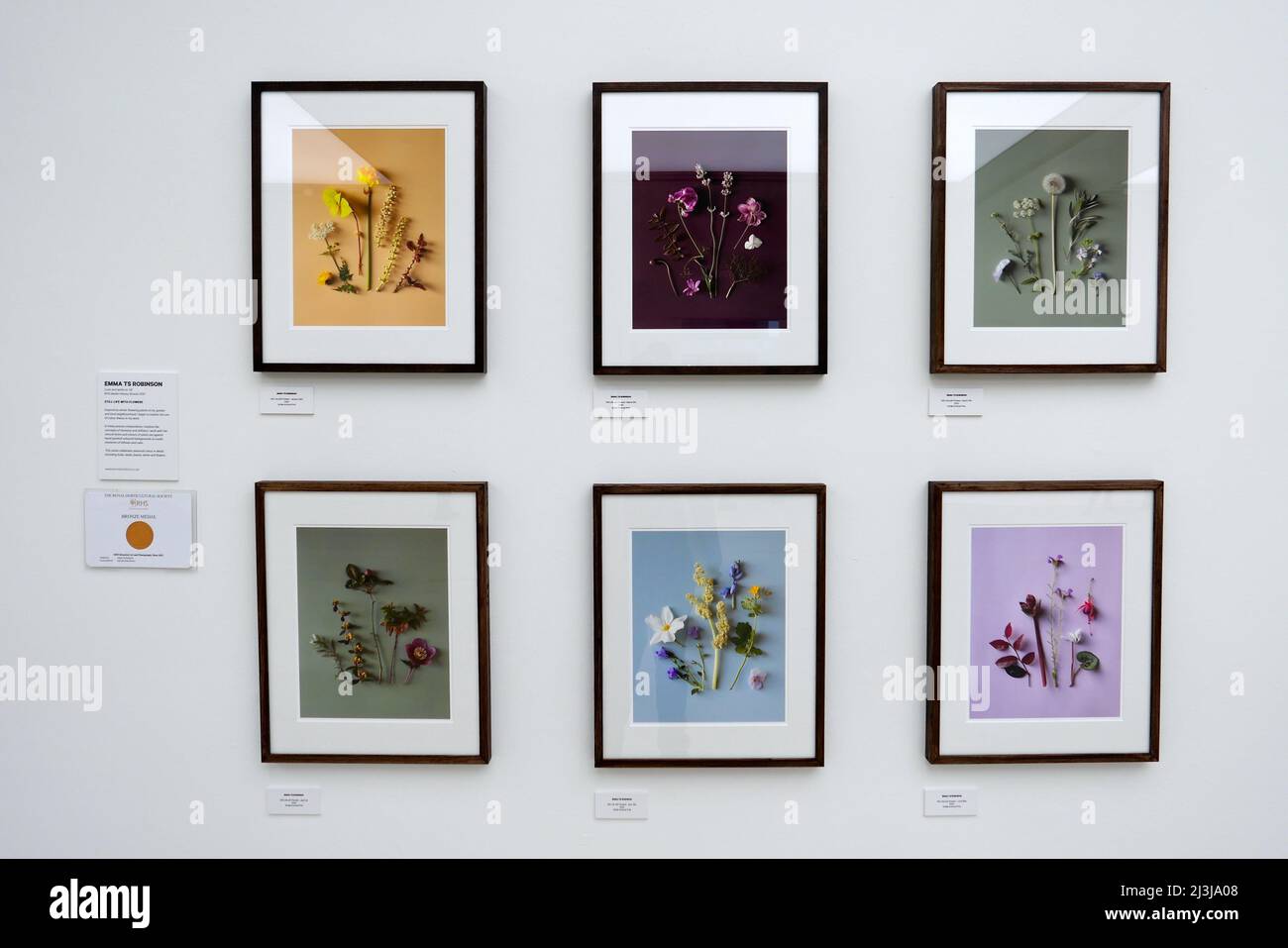 Shirley Slocock High Resolution Stock Photography and Images - Alamy