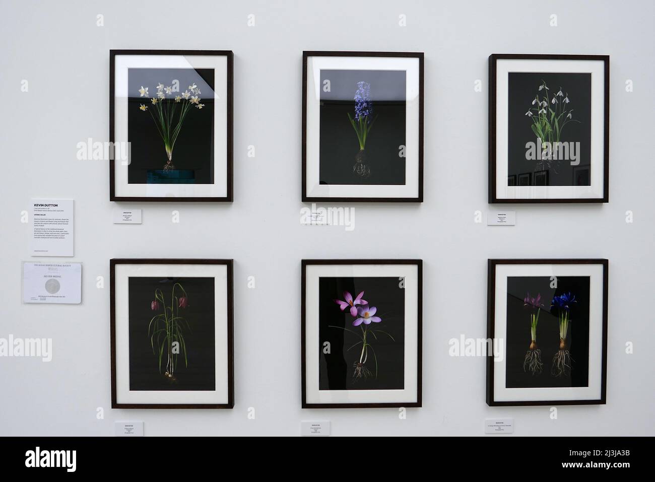 Shirley Slocock High Resolution Stock Photography and Images - Alamy