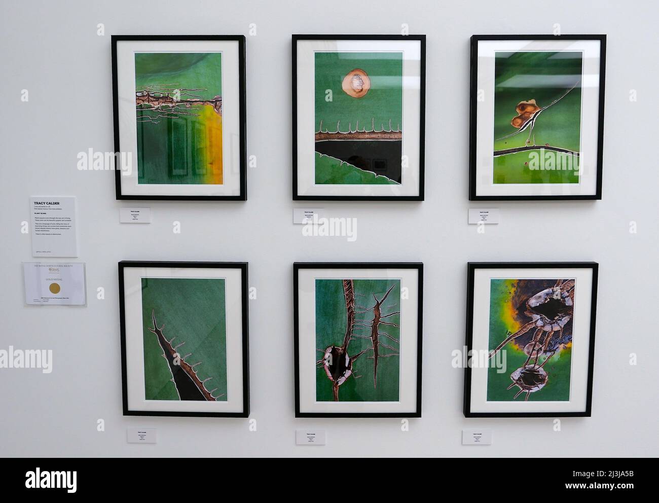 Mitsuko kurashina hi-res stock photography and images - Alamy