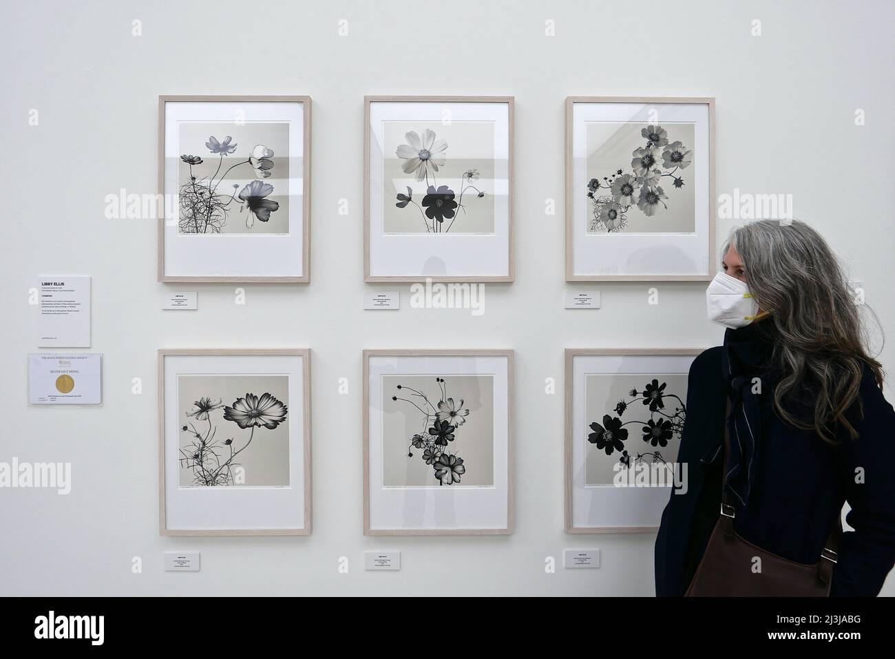 Shirley slocock hi-res stock photography and images - Alamy