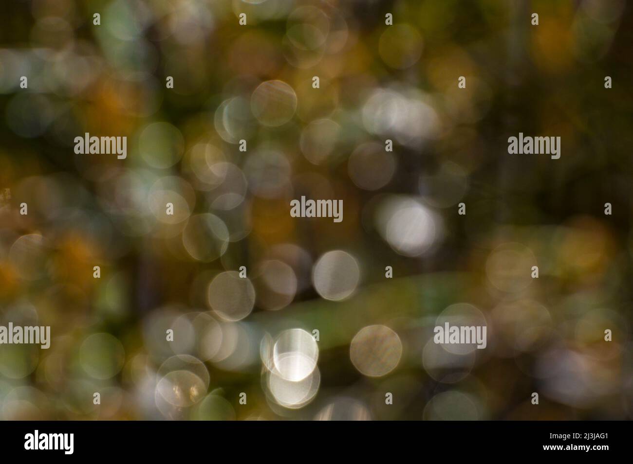 colorful light dots on the water surface of a lake, sunlight, backlight ...