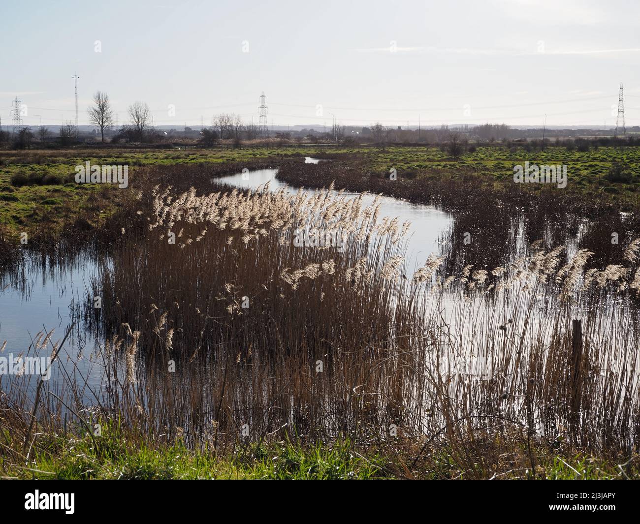 Saxon Shore Way beside Ferry Marshes on the Swale Estuary Kent England ...