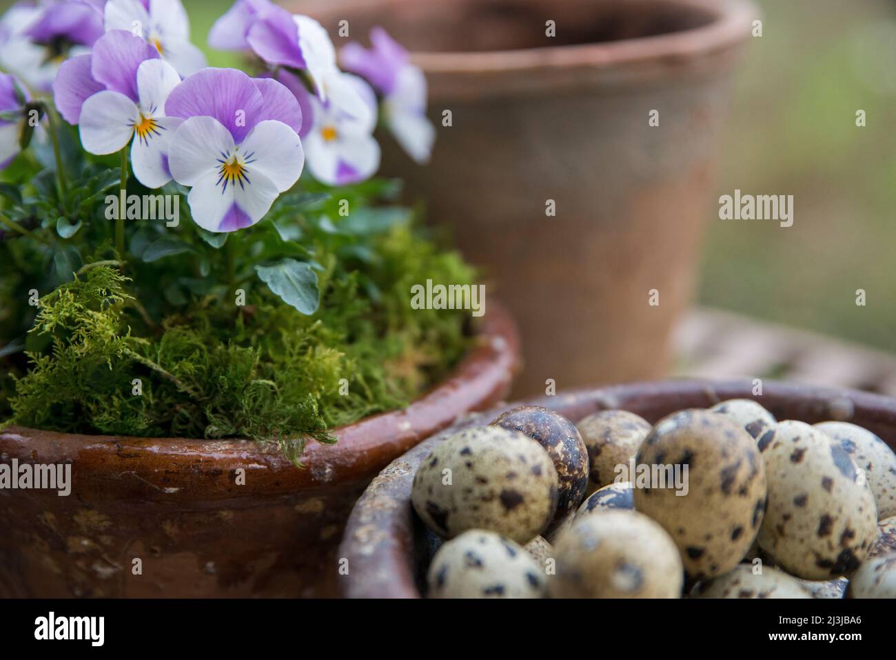 Natural clay pots hi-res stock photography and images - Alamy