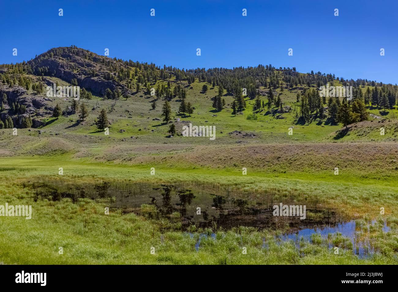 Yellowstone pond hi-res stock photography and images - Alamy