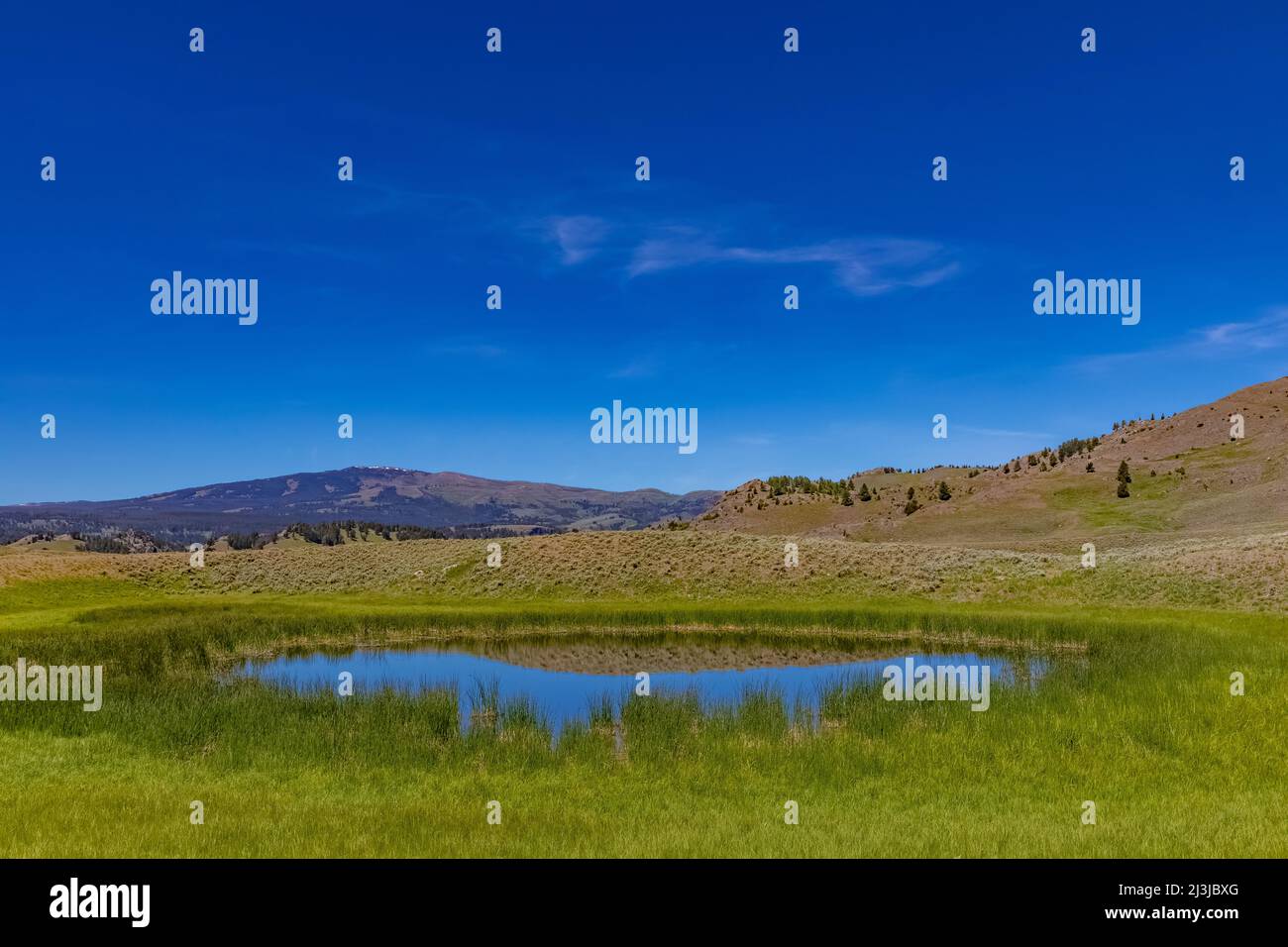 Yellowstone pond hi-res stock photography and images - Alamy