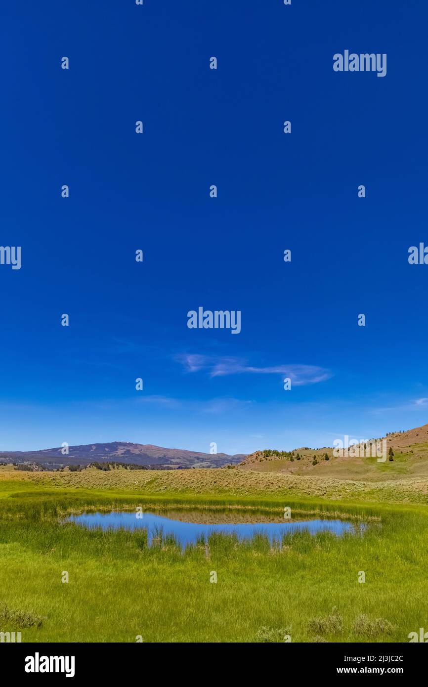 Yellowstone pond hi-res stock photography and images - Alamy