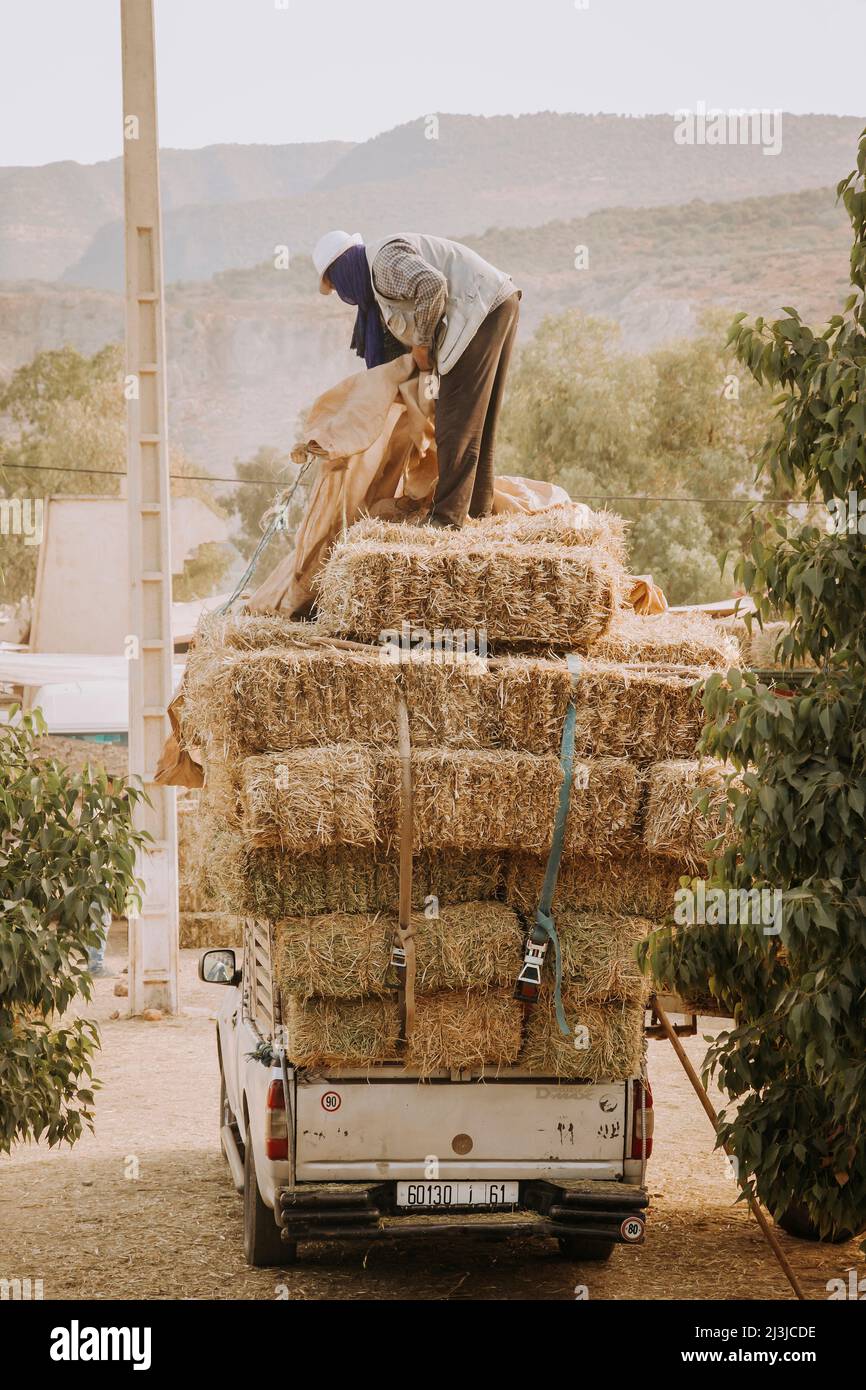 Traditional small bales hi-res stock photography and images - Alamy