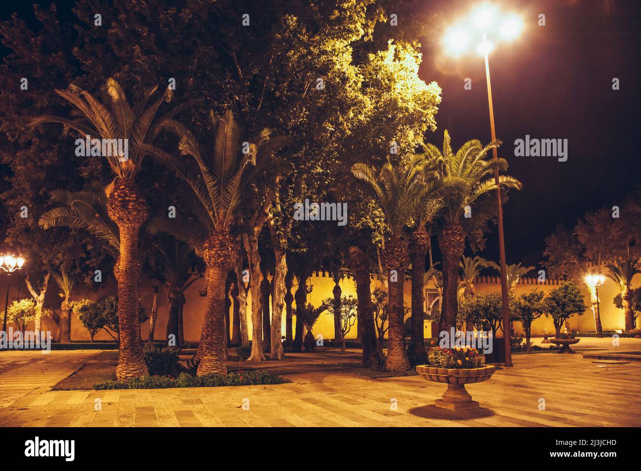 Place des Alaouites, palm trees, city, Fez, Maghreb, Morocco, Africa ...