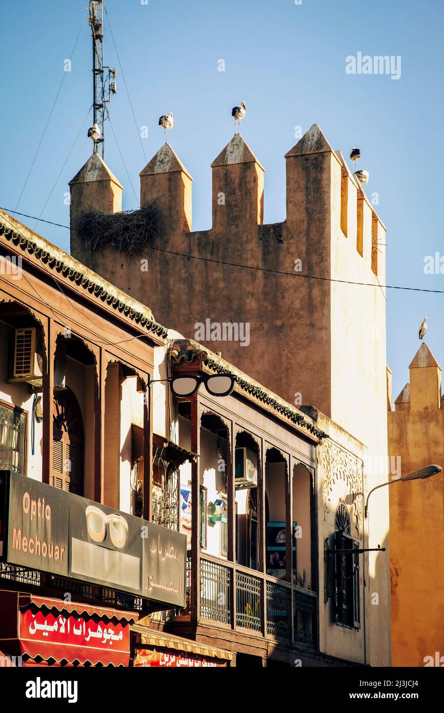 Wall, Birds, Storks, City, Medina, Fez, Maghreb, Morocco, Africa Stock ...