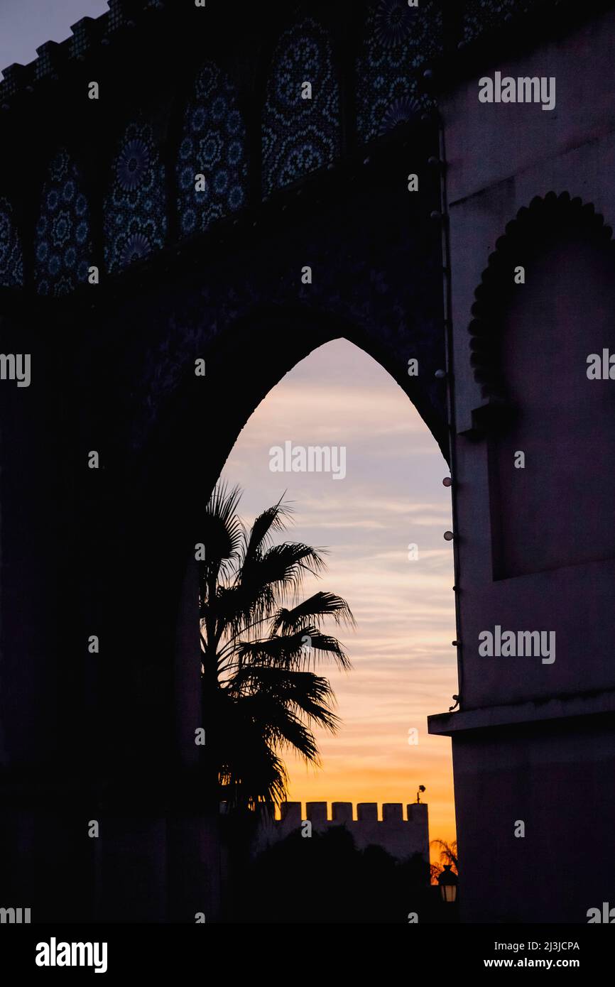 city wall, palm tree, sunset, city, Meknes, Maghreb, Morocco, Africa Stock Photo - Alamy