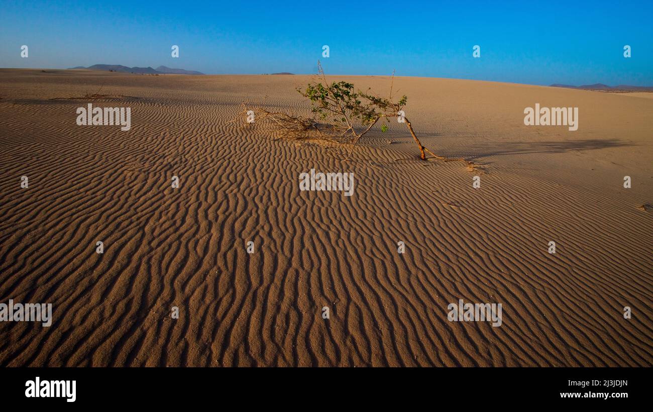 Wave background light hi-res stock photography and images - Alamy