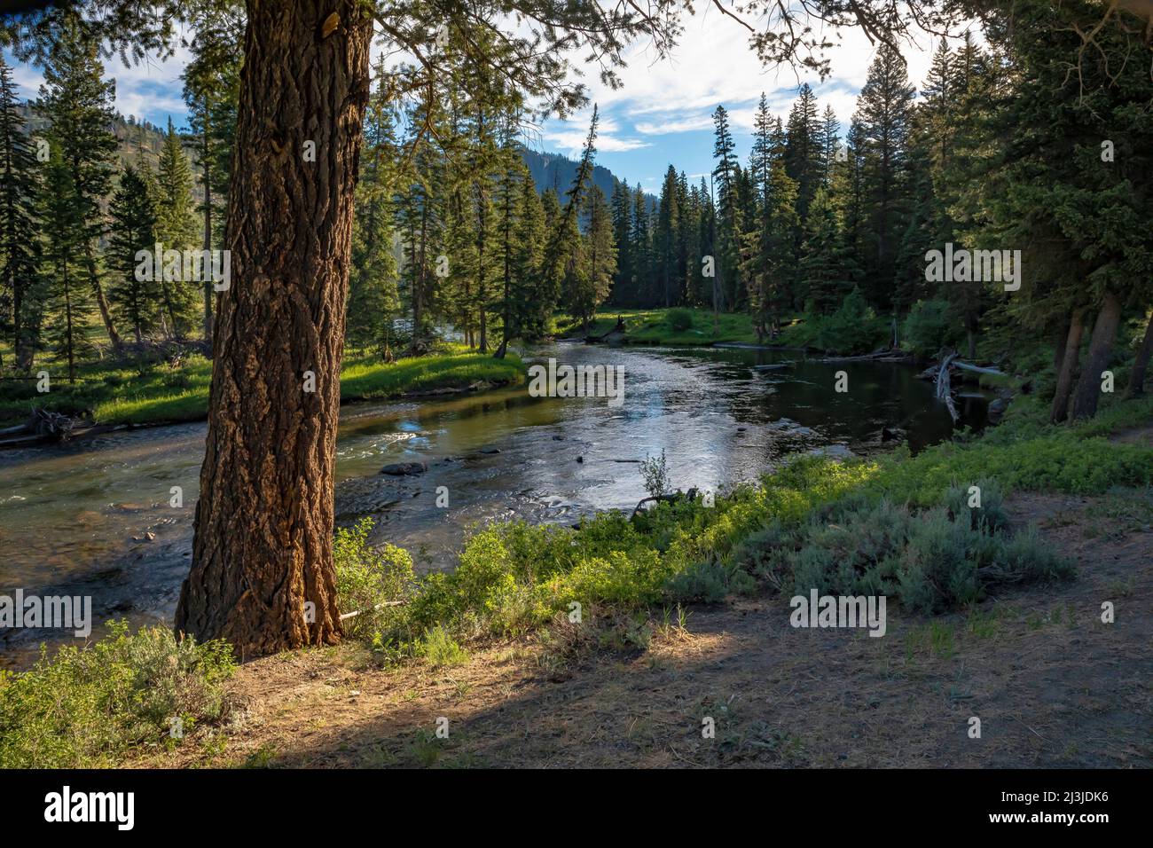 Absaroka mountain range hi-res stock photography and images - Alamy