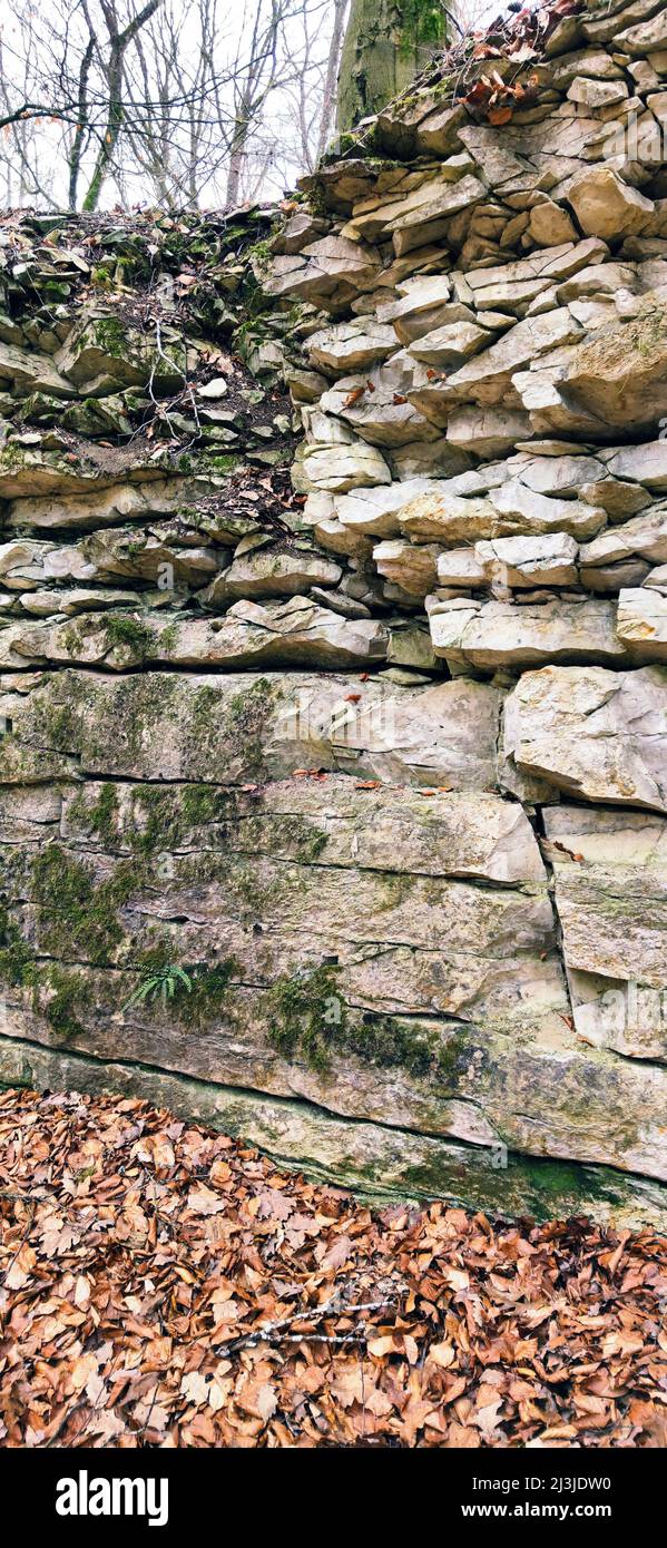 abandoned overgrown natural stone quarry in Altmühltal, Middle ...