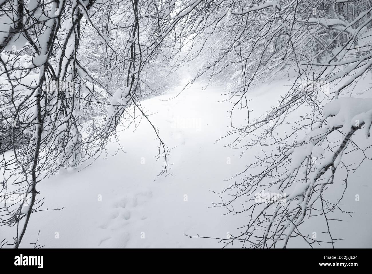 Frost covered crosses hi-res stock photography and images - Alamy
