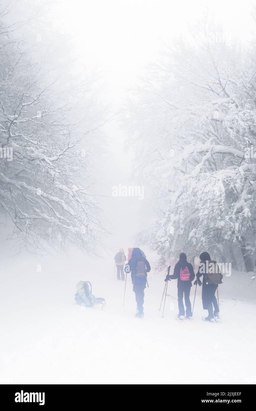 Hikers snowshoes in winter hi-res stock photography and images - Alamy
