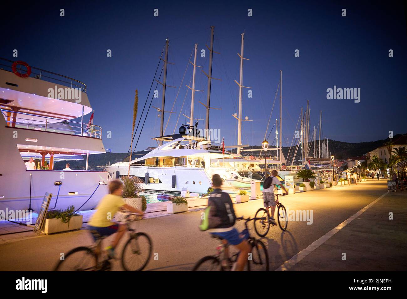 Vis marina hi-res stock photography and images - Alamy