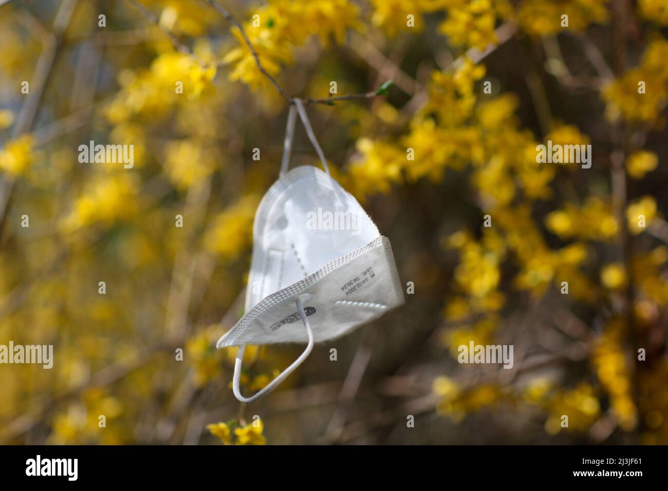 Mask hangs in bush Stock Photo - Alamy