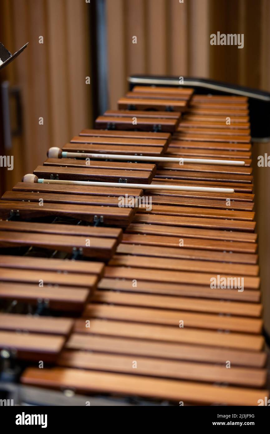 Close up of xylophone instrument with two mallets in a philharmonic ...
