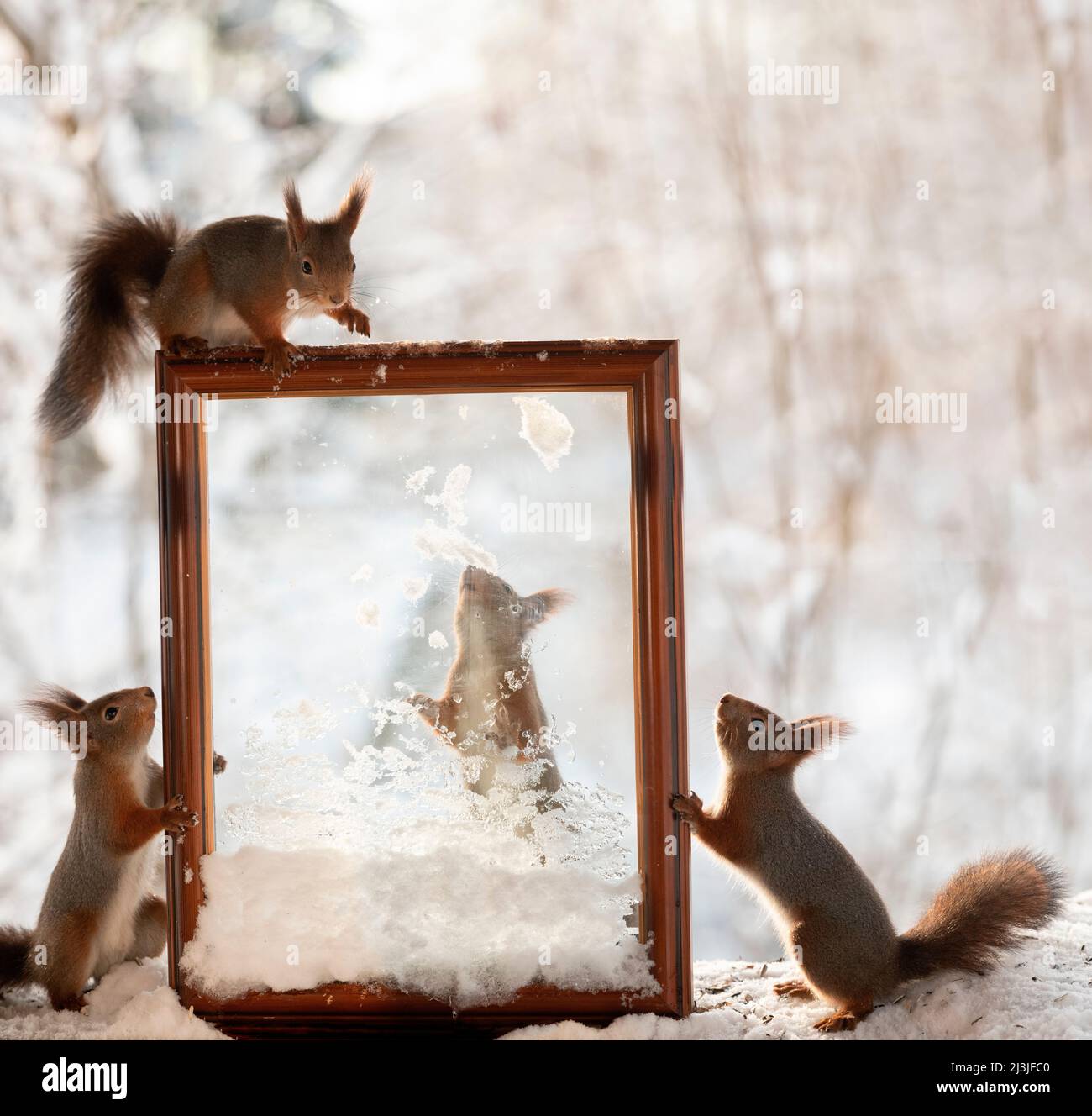 Glass sheet panel hi-res stock photography and images - Alamy