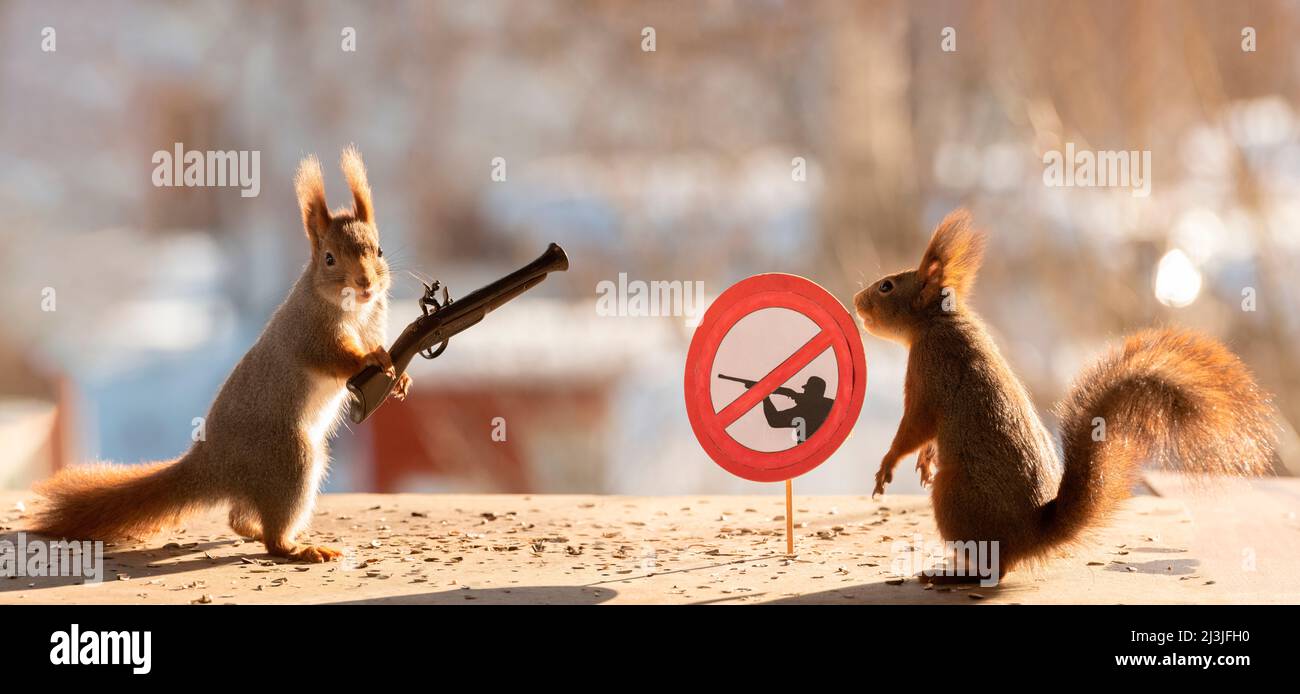 Pistol and rifle shooting hi-res stock photography and images - Alamy