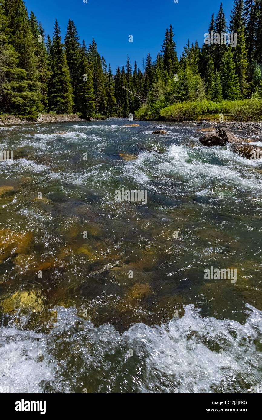 Fast-flowing Soda Butte Creek in the Absaroka Mountains of northeast ...