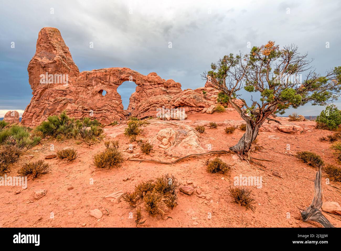 Tree and turret arch hi-res stock photography and images - Alamy