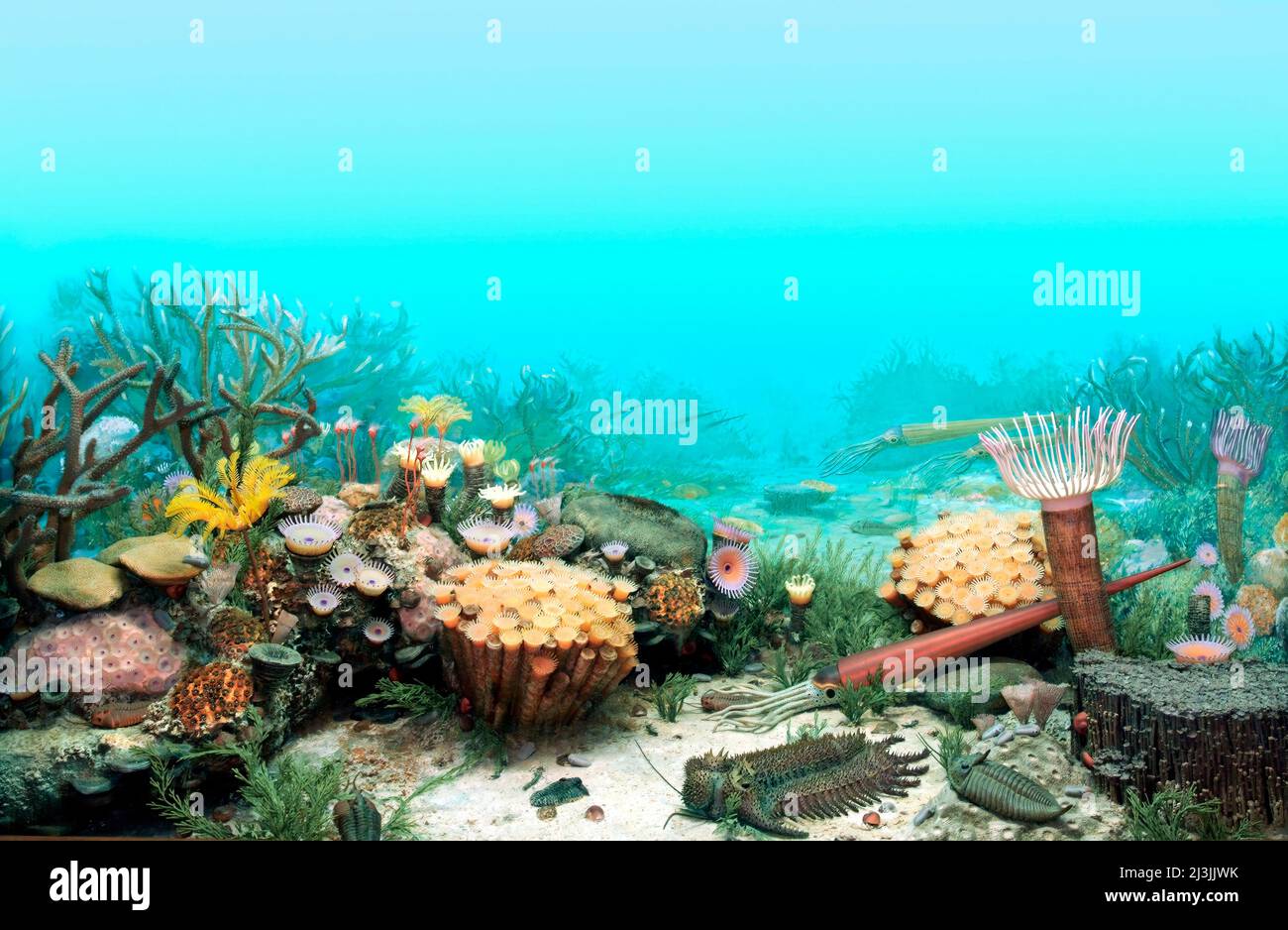 Ancient Devonian Sea Stock Photo - Alamy