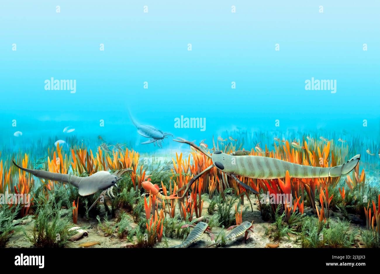 Ancient Silurian Ocean Stock Photo - Alamy