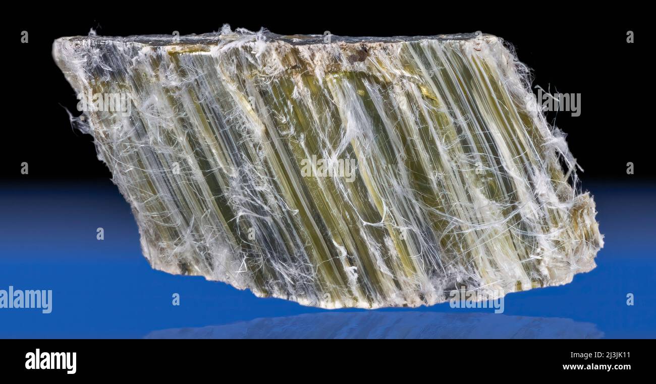 Chrysotile Asbestos Fibers