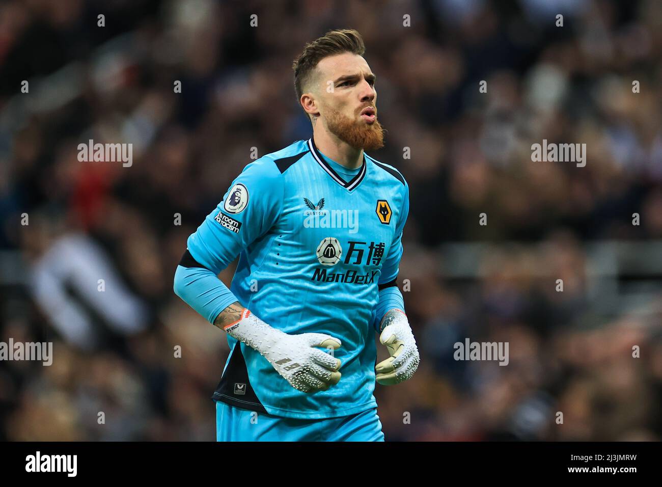 Jose Sa #1 of Wolverhampton Wanderers during the game Stock Photo - Alamy