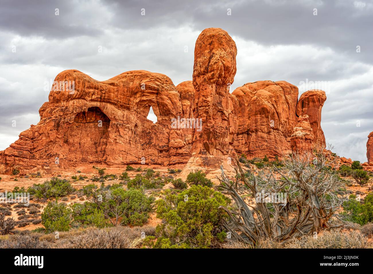 Desert morning scenes hi-res stock photography and images - Alamy