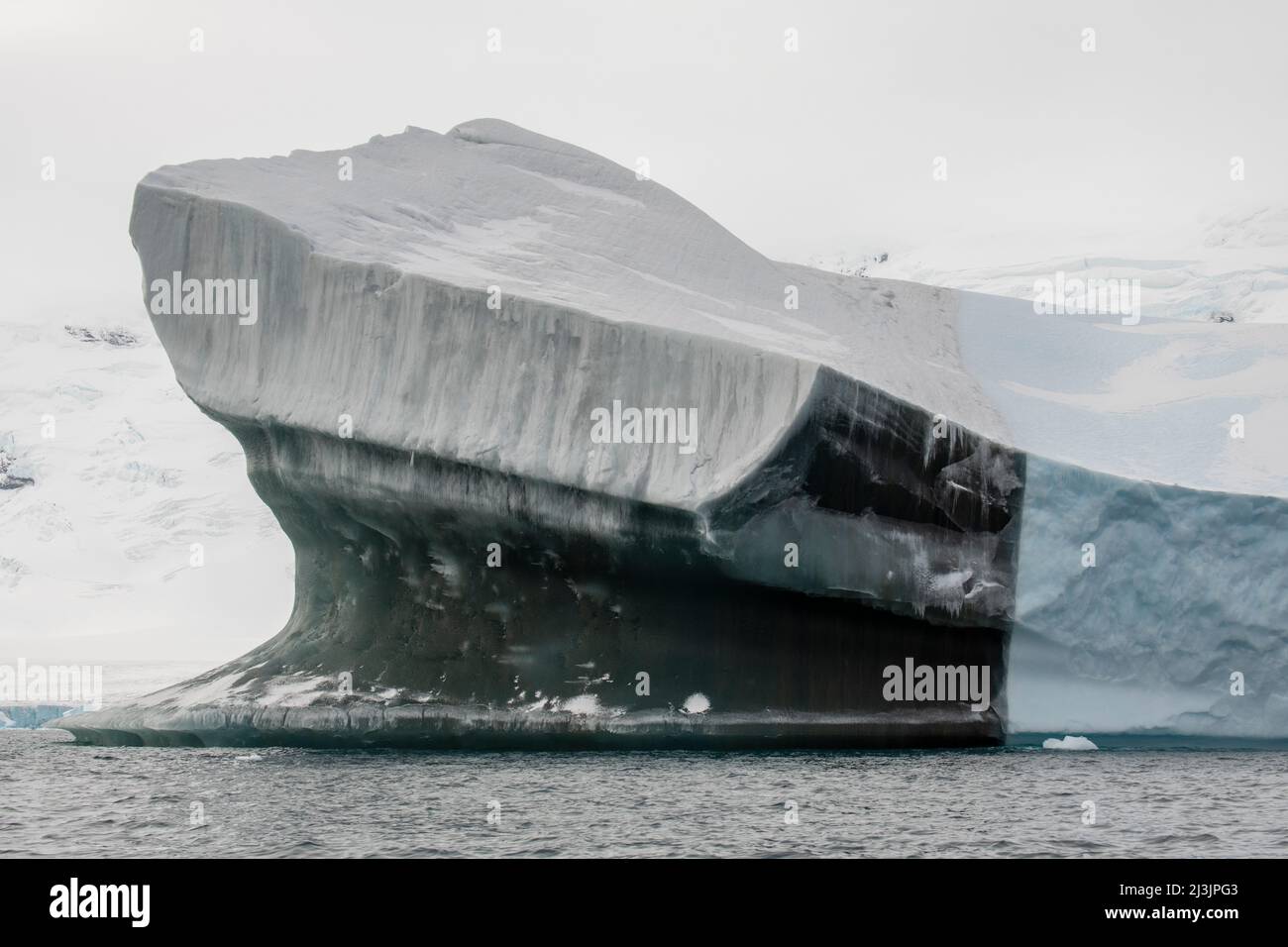 Antarctica, Southern Ocean, South Orkney Islands, Iceberg Bay. Rare ...