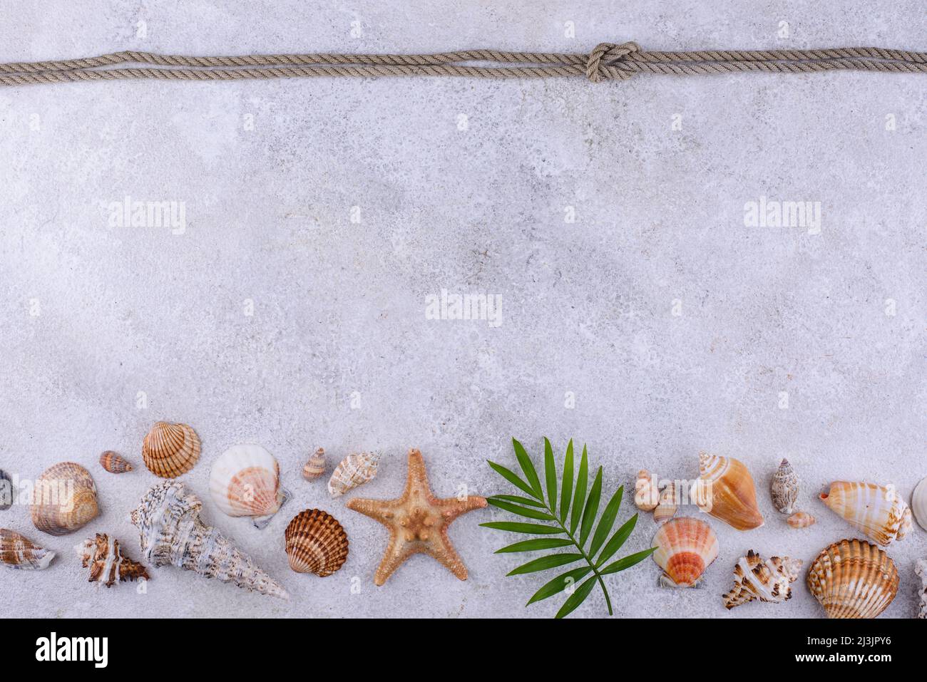 Summer nautical marine background with shell Stock Photo - Alamy