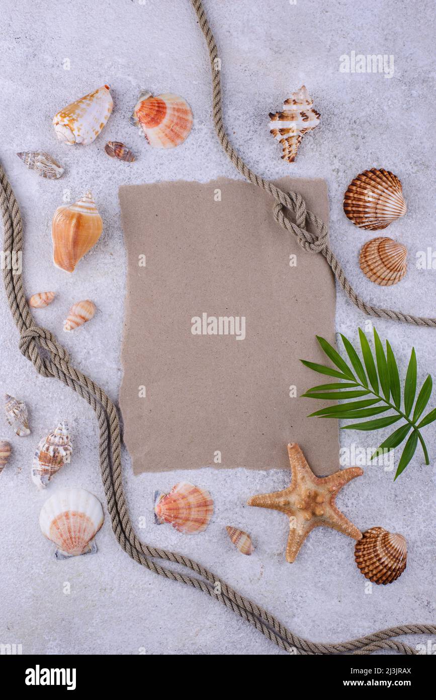 Summer nautical marine background with shell Stock Photo - Alamy