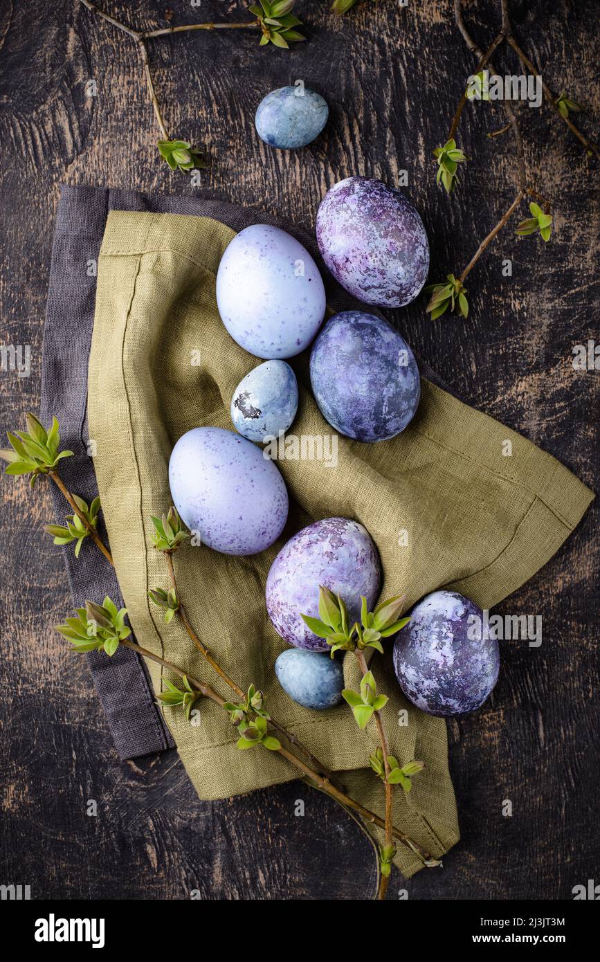 Festive Easter eggs in purple and blue color Stock Photo - Alamy